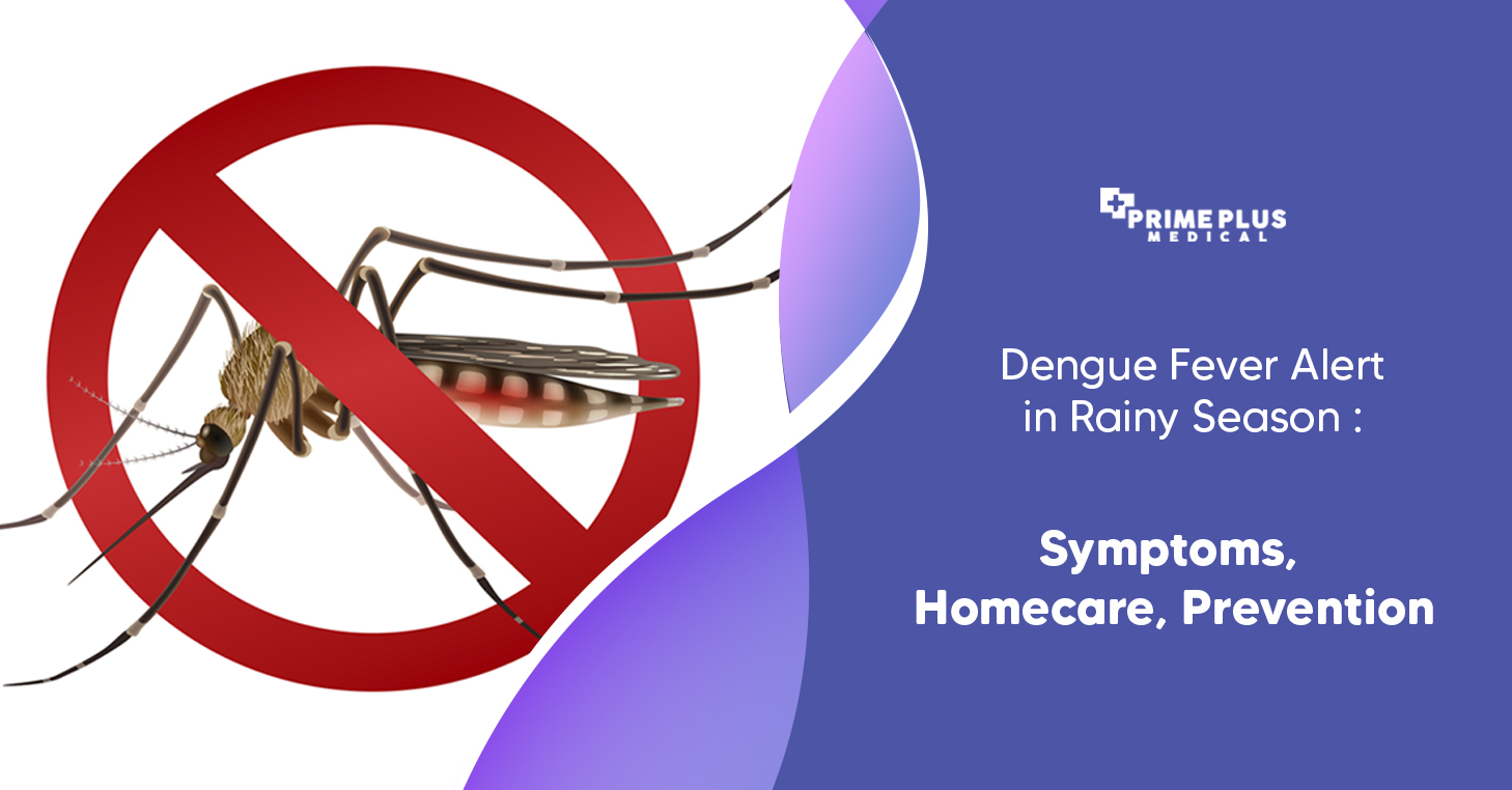 Travel Alert: Dengue Fever
